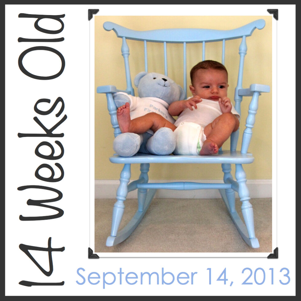 {Parker Weekly} 14 Weeks Old | Listen & Learn Music